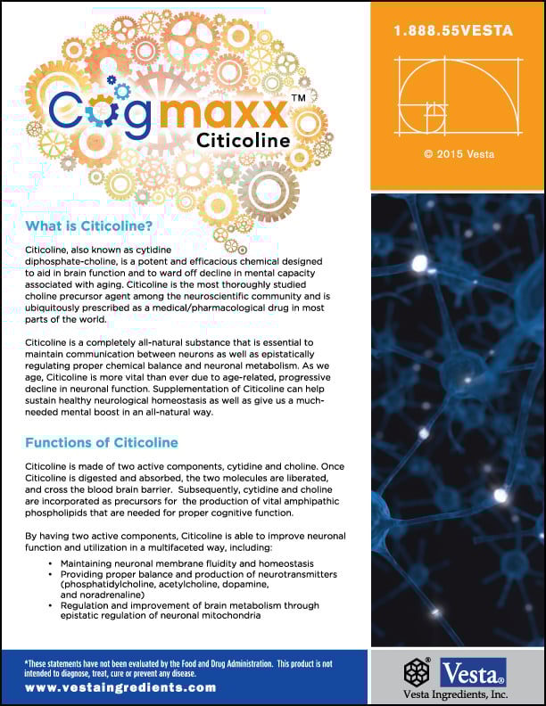 Download the Cogmaxx Brochure